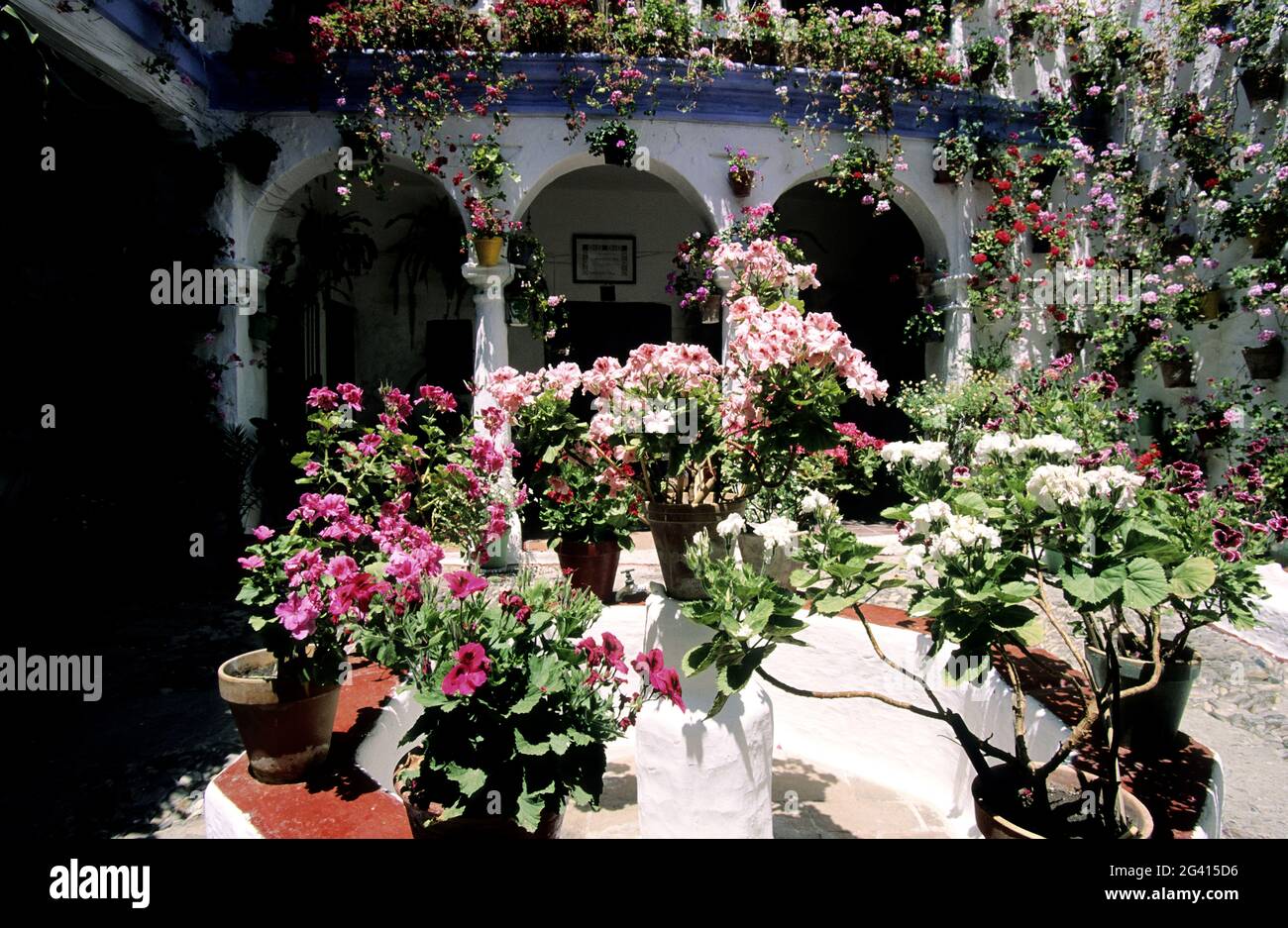 Duing hi-res stock photography and images - Alamy