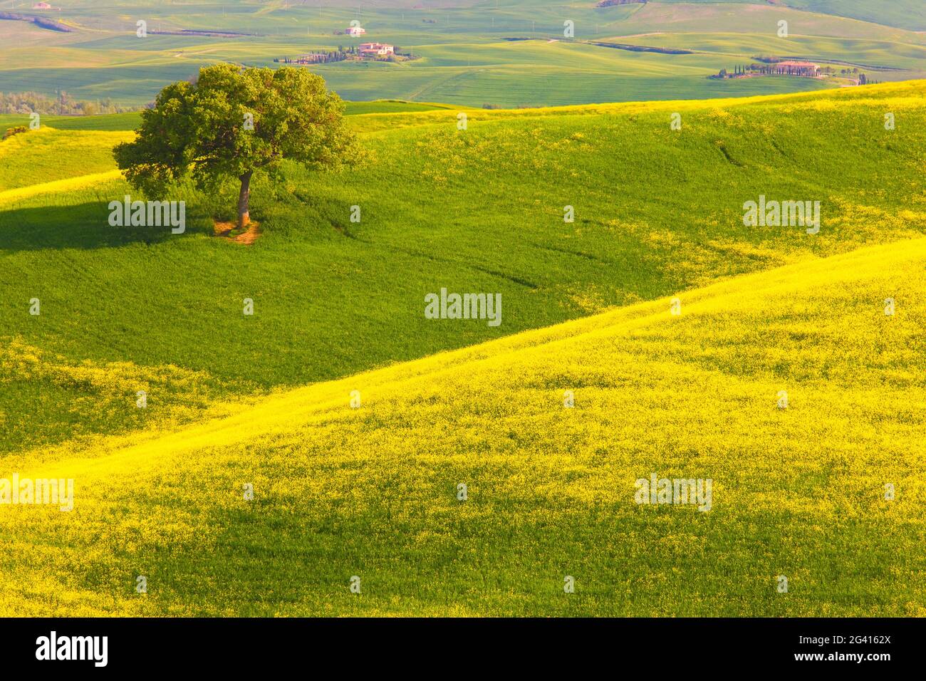 Tuscany flower fields hi-res stock photography and images - Alamy