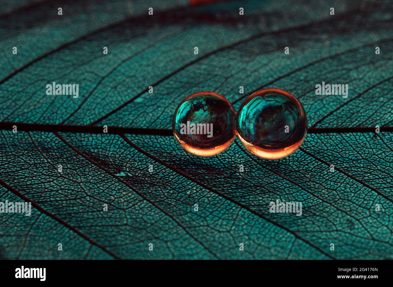 Big water drops, 3d balls on a blurry background with light effects and ...