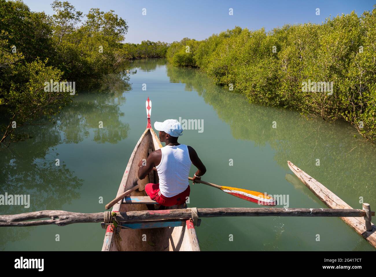 Boat tour in the mangroves near Morondava, Madagascar, Africa Stock ...