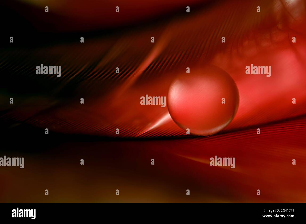 Big water drops, 3d balls on a blurry background with light effects and ...