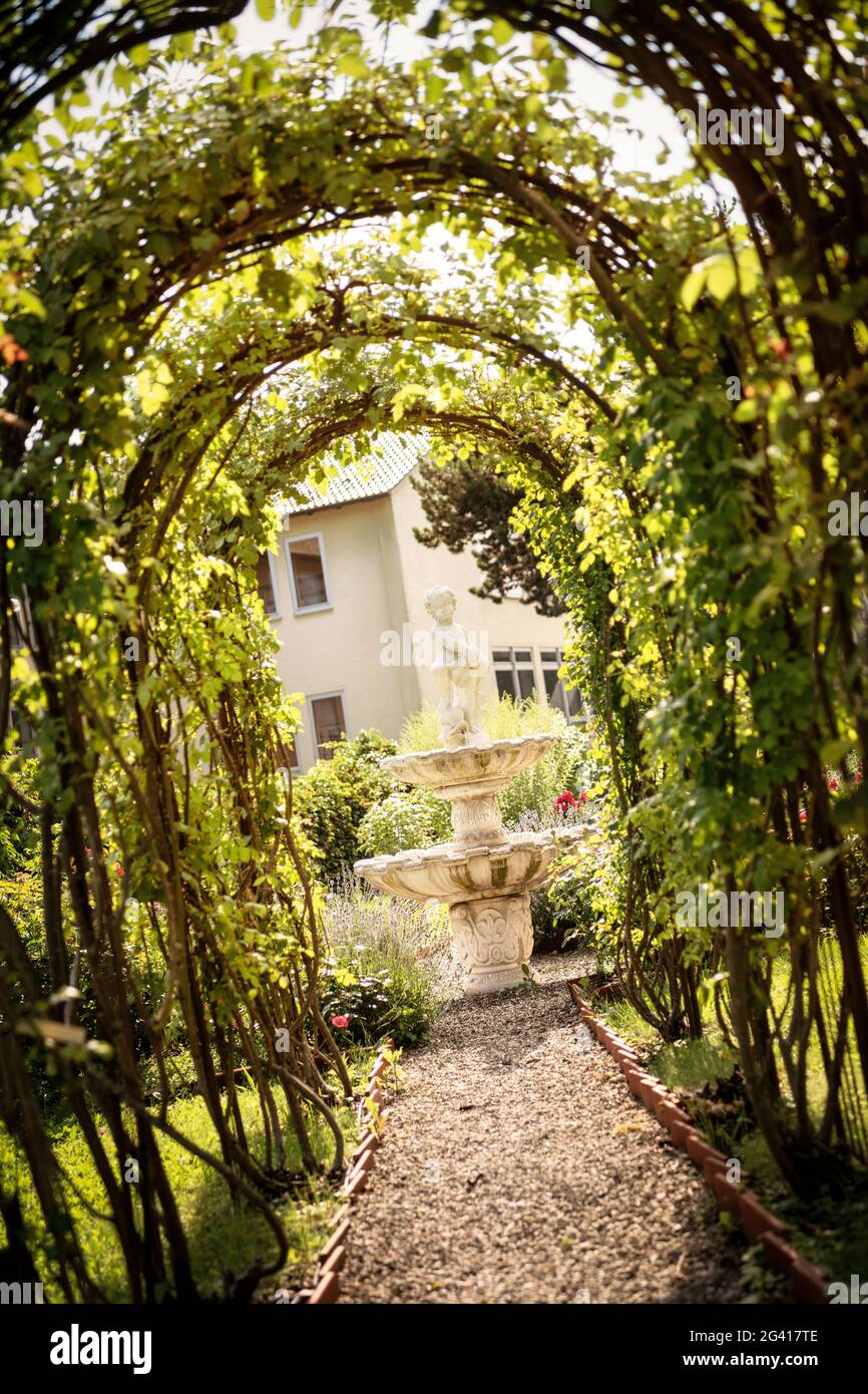 Garden of the Schlachtegg rose castle in Gundelfingen on the Danube ...