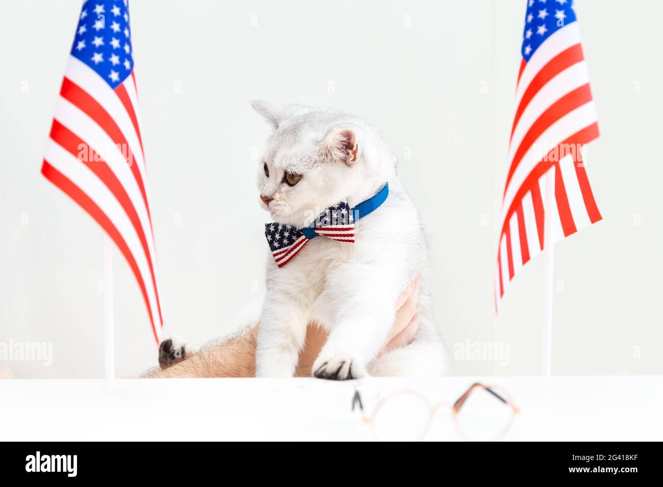 British Humor Vs American