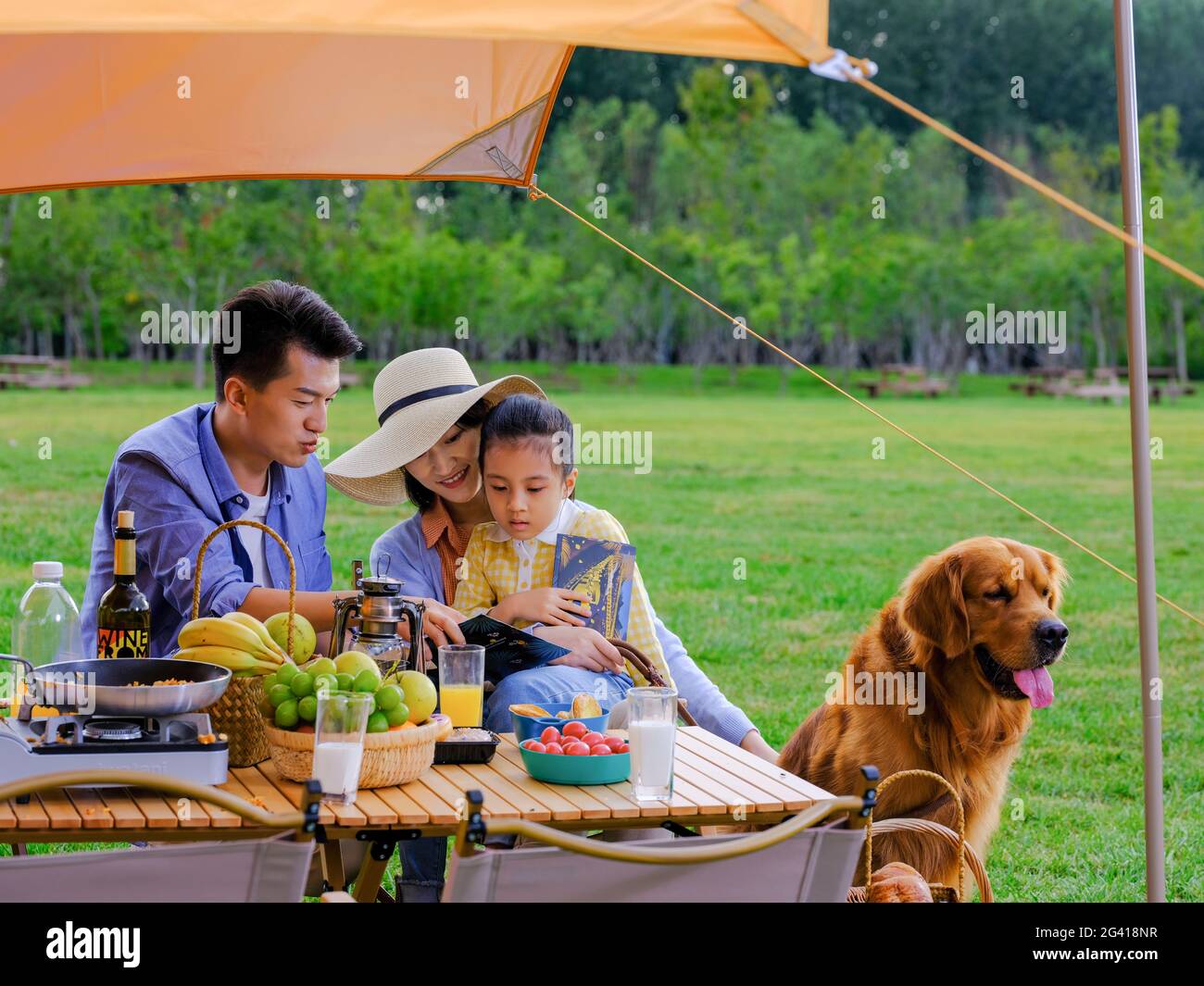 Happy family of three and pet dog reading outside high quality photo ...