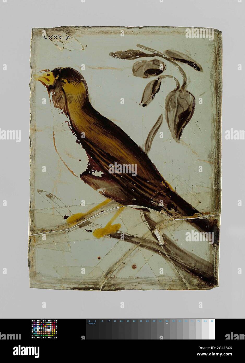 Striking visual comparison hi-res stock photography and images - Alamy