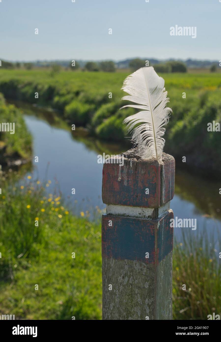 Cors Caron riverside walk nature trail in Ceredigion,Wales,UK Stock ...