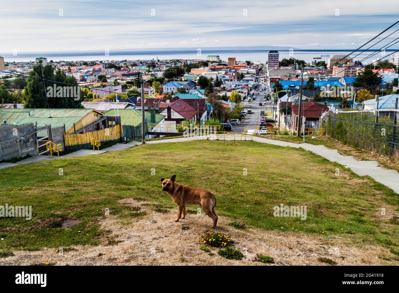 Aerial view of Punta Arenas, Chile Stock Photo - Alamy