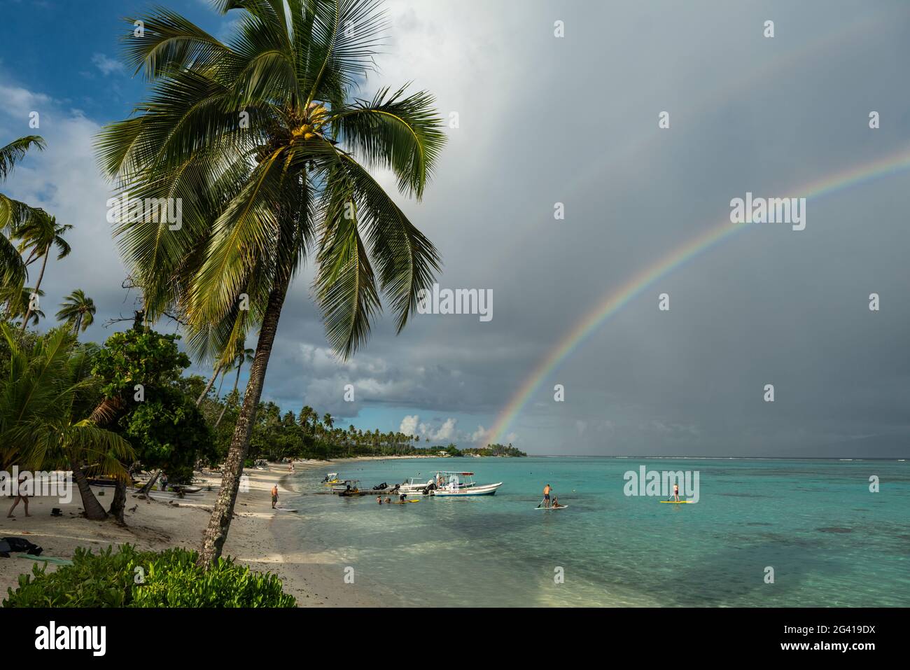 Coconut trees and water sports activities at Sofitel Ia Ora Beach ...