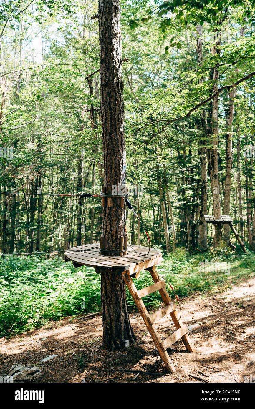 Climbing park high in the trees. Obstacle course in amusement park ...