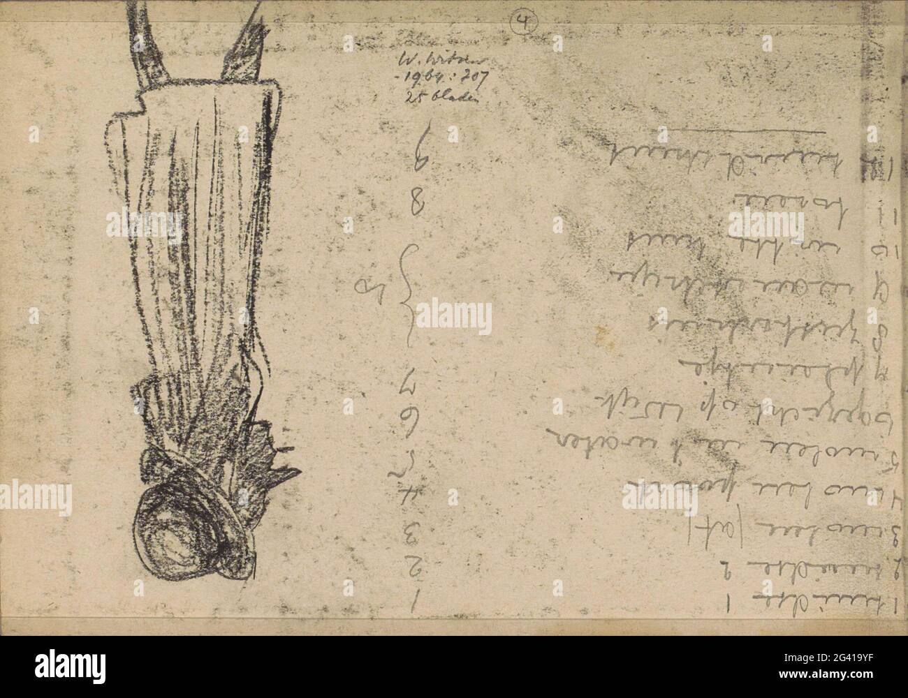 Caricature of a standing figure with hat. Companion leaf A, front bract ...