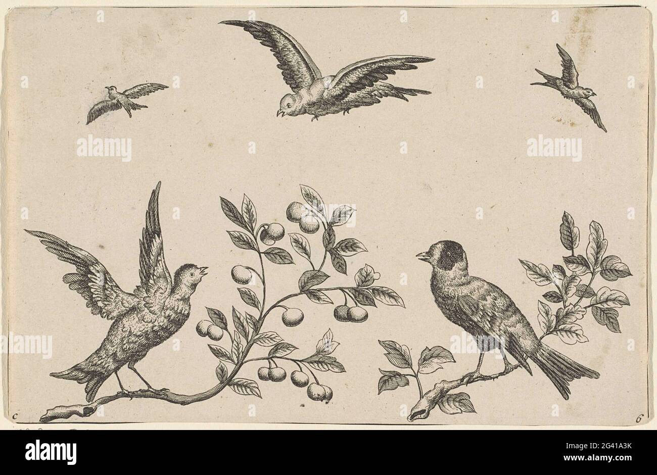 Two different birds in flight hi-res stock photography and images - Alamy