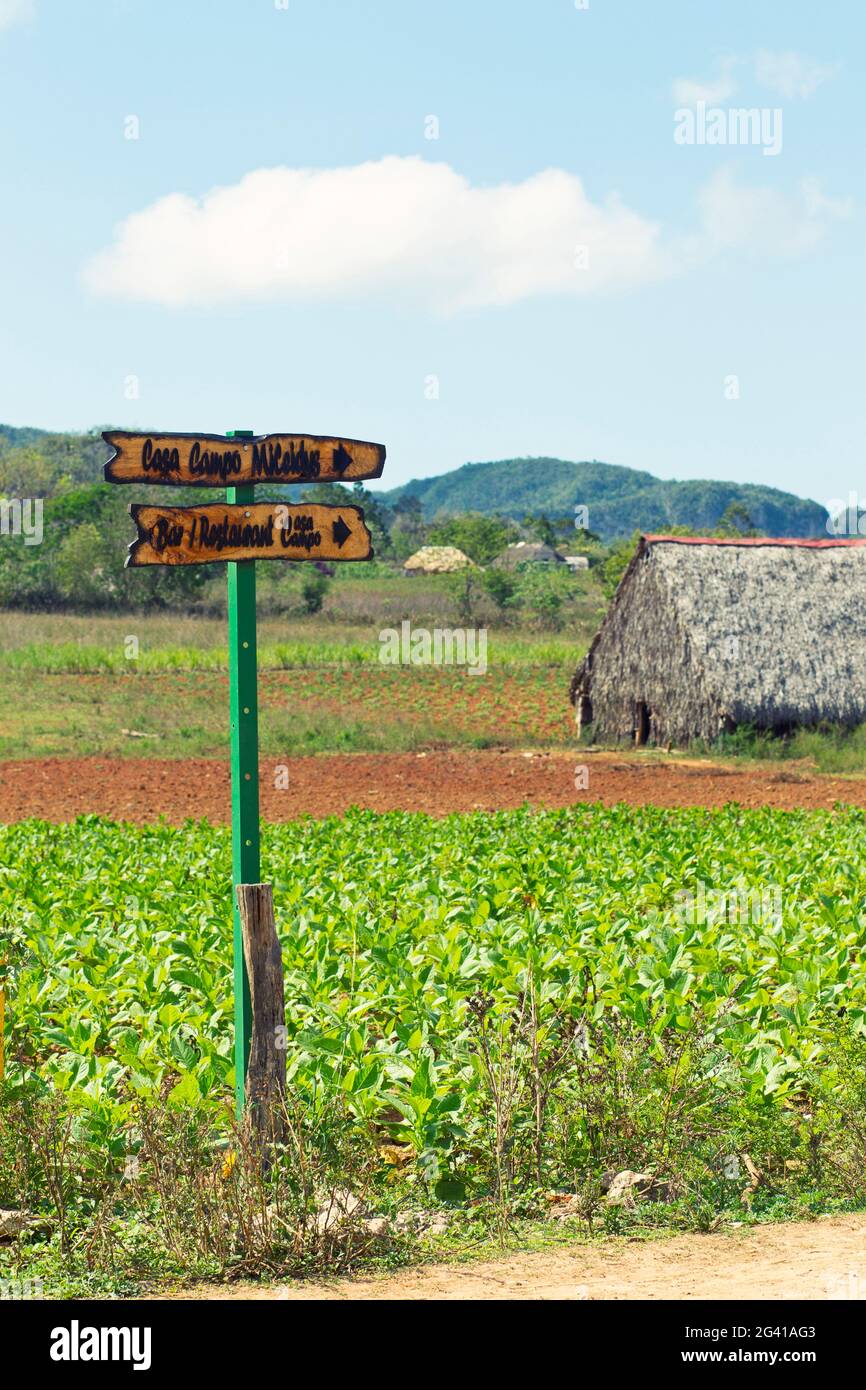 Cuban street plaque hi-res stock photography and images - Alamy