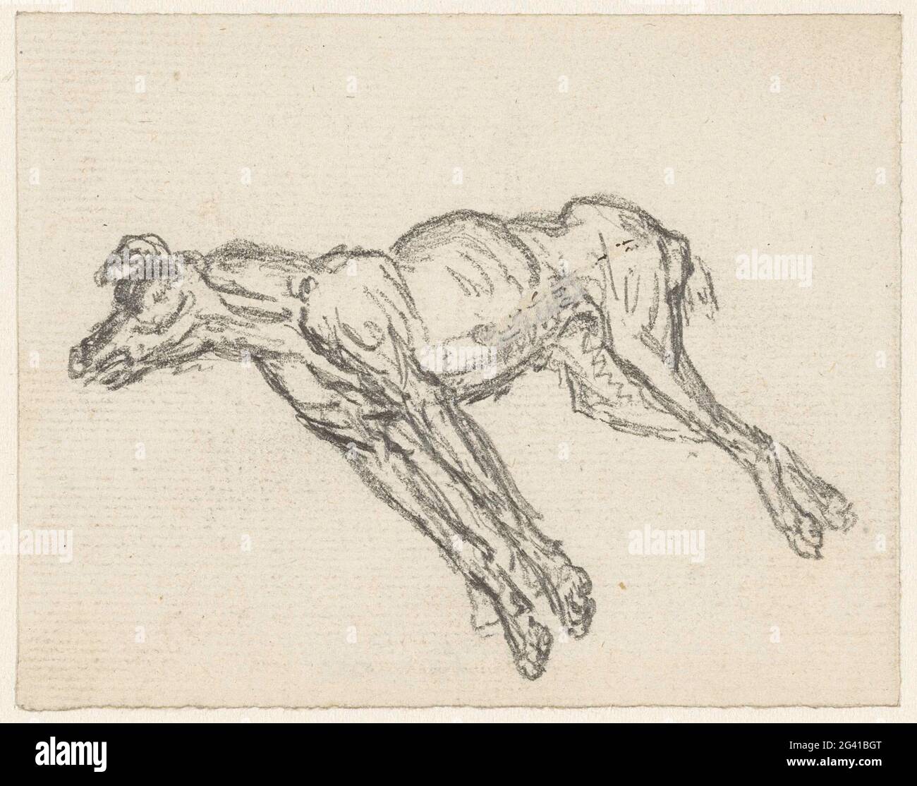 Dead dog Stock Photo - Alamy