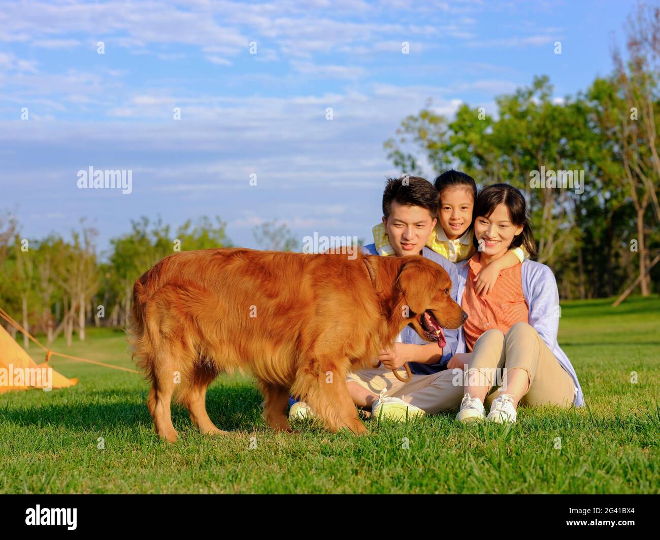 Happy family of three and pet dog in the park high quality photo Stock ...