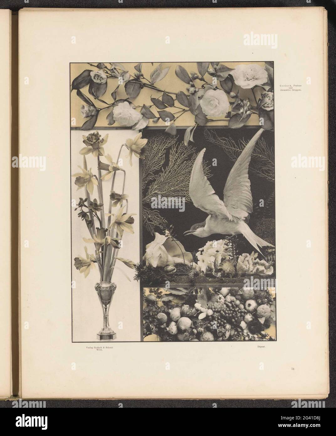 Faces with daffodils, camellias, fruit and a seagull Stock Photo - Alamy