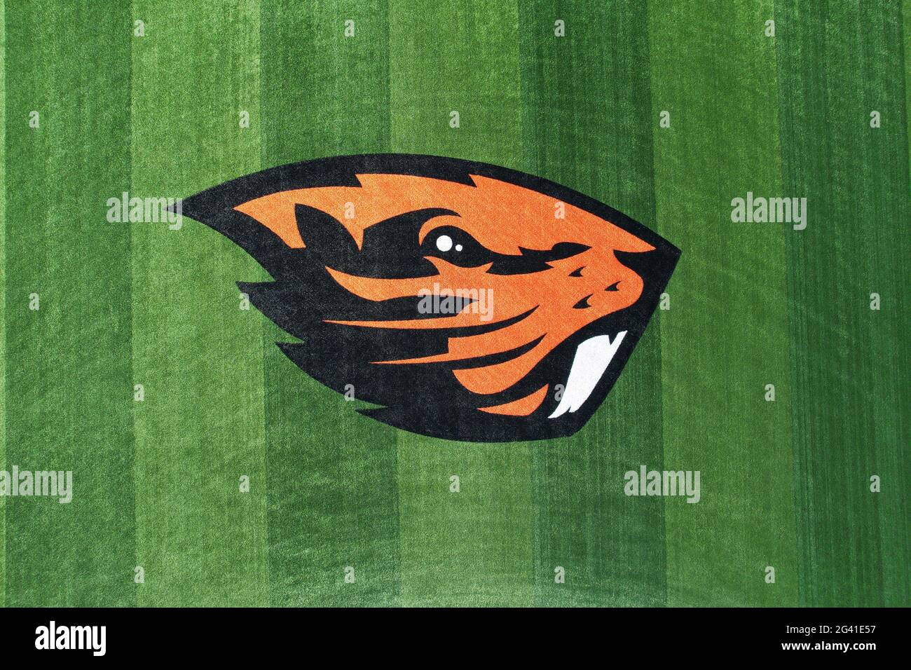 An aerial view of The Oregon State Beavers logo in center field at ...