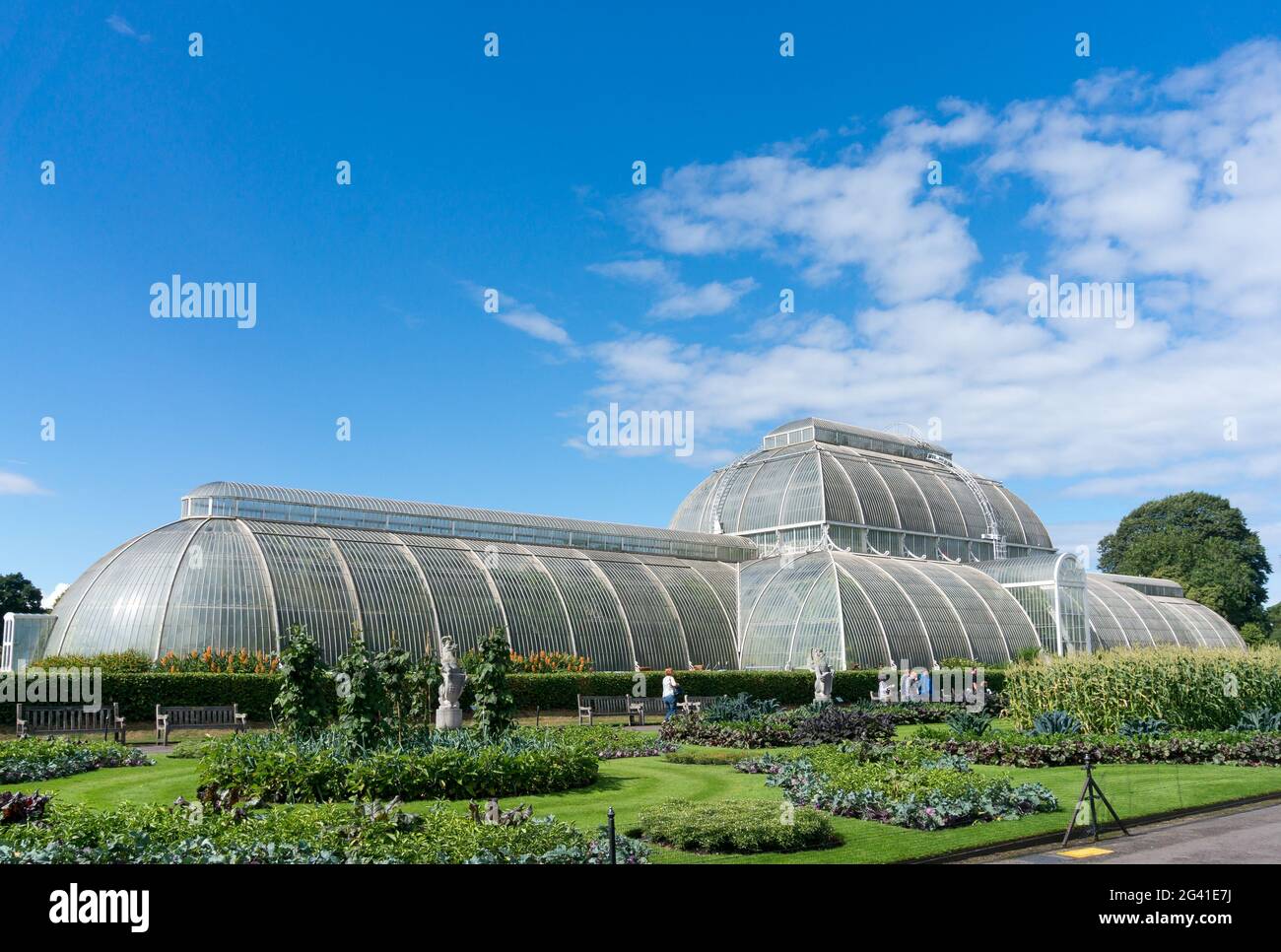 Palm House at Kew Gardens Stock Photo - Alamy