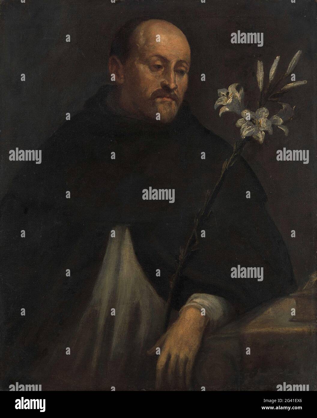 Saint Dominic. The sacred dominian, half side sitting with a lily roof ...