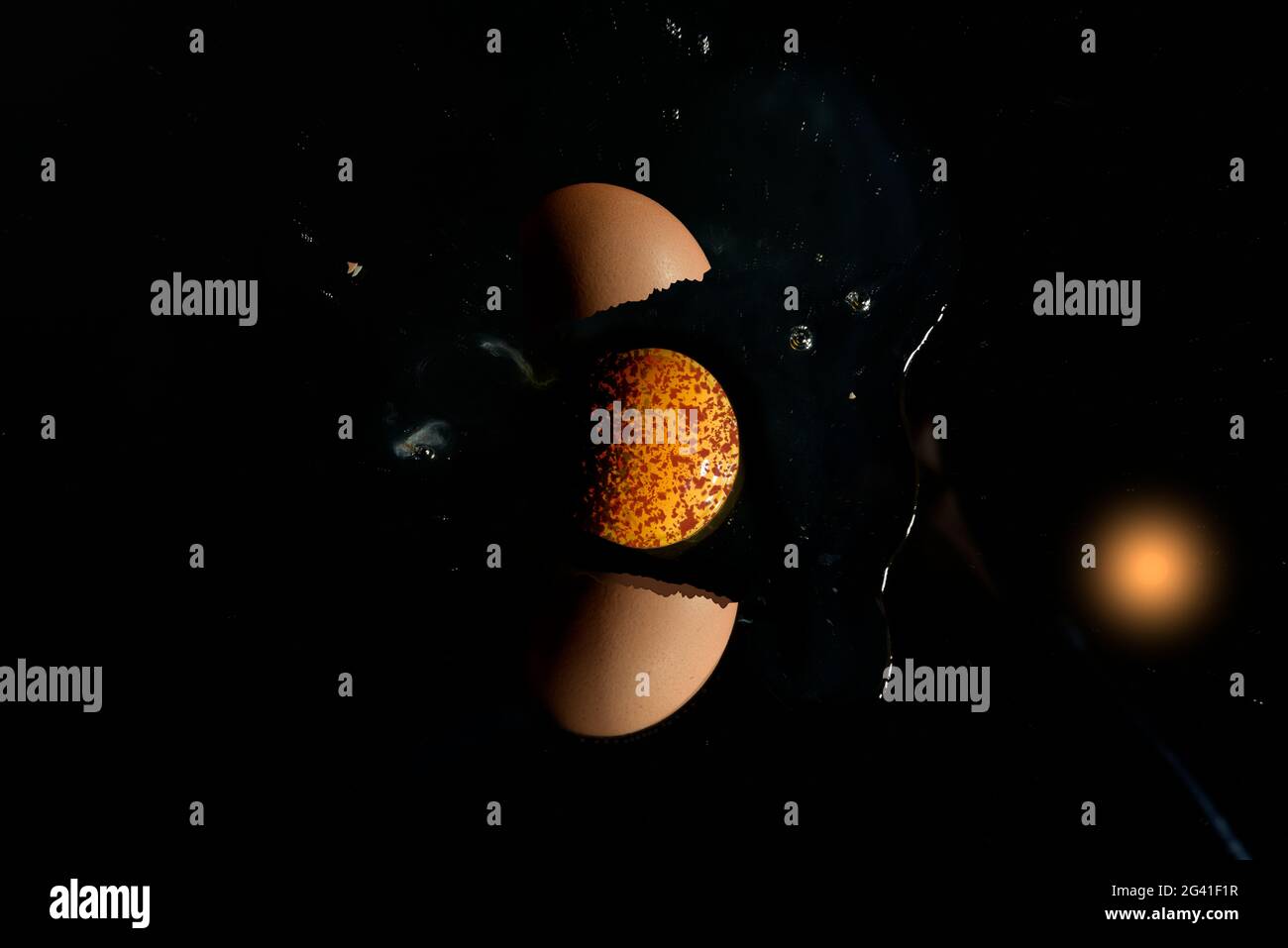 Moon shell hi-res stock photography and images - Alamy