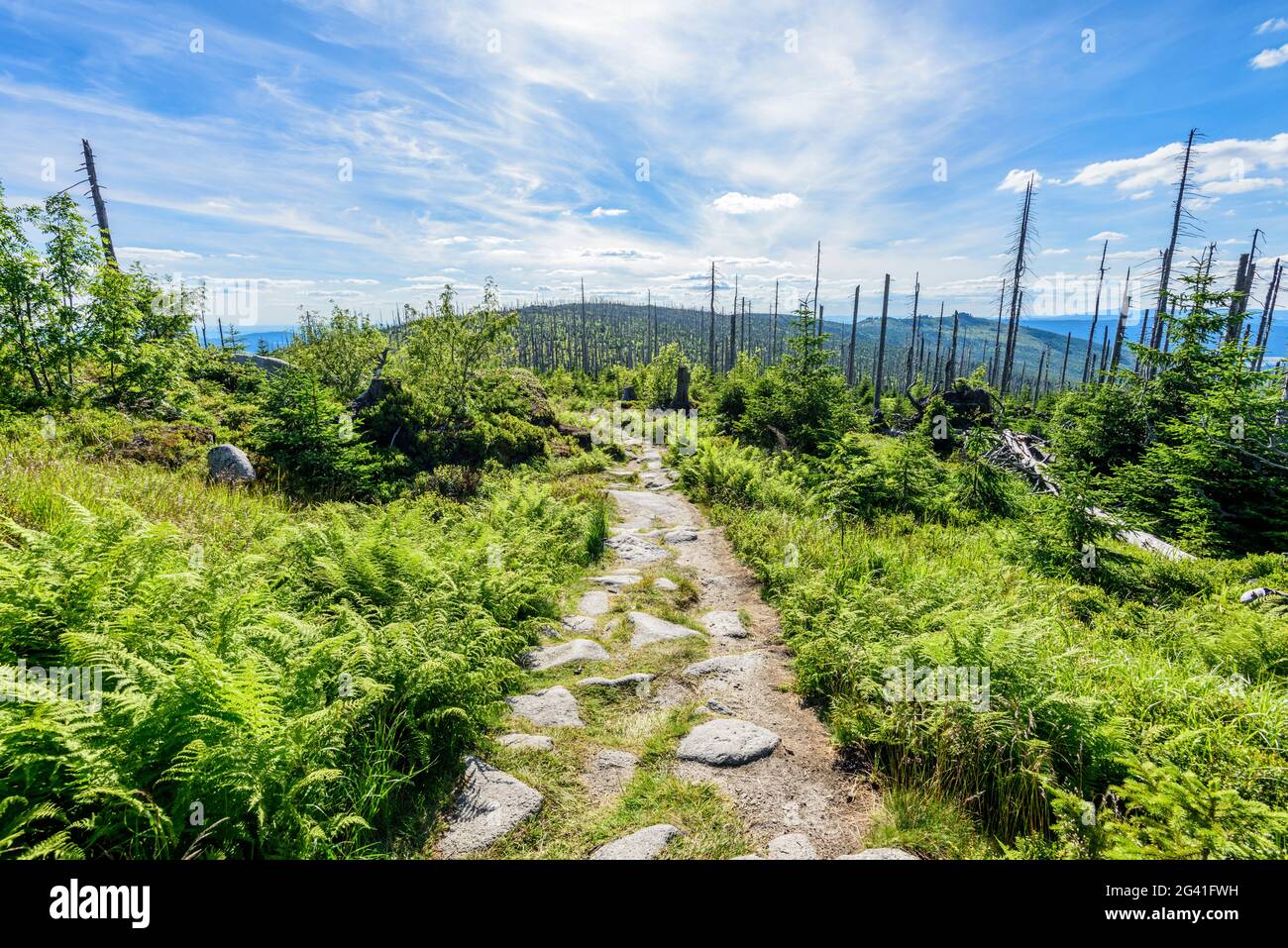 Austria czechia hi-res stock photography and images - Alamy