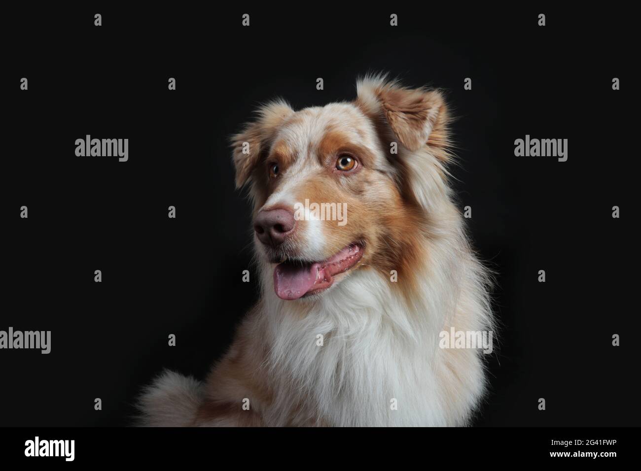 Laterally hi-res stock photography and images - Alamy