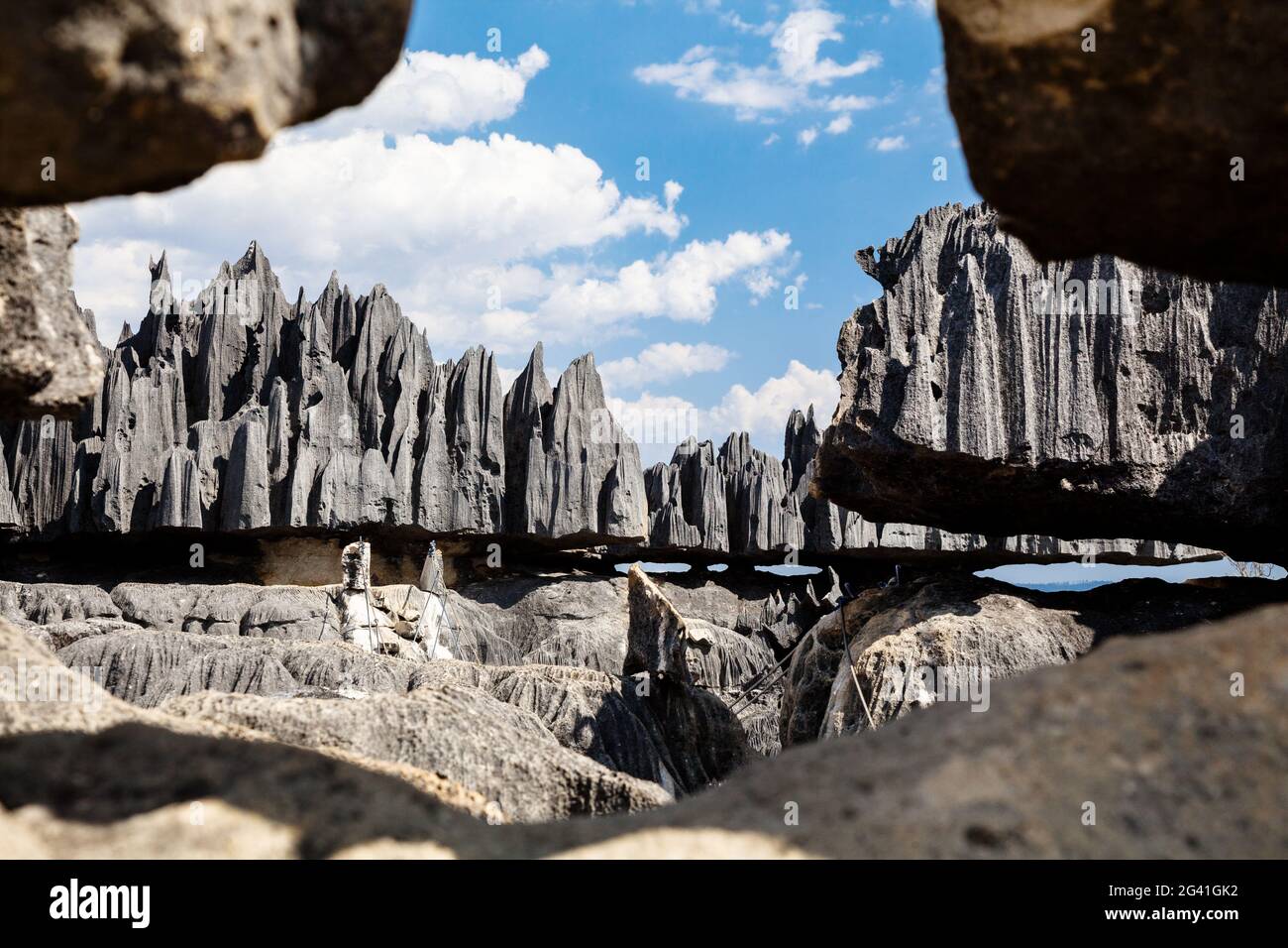Karst landscape Tsingy de Bemaraha, Tsingy-de-Bemaraha National Park ...