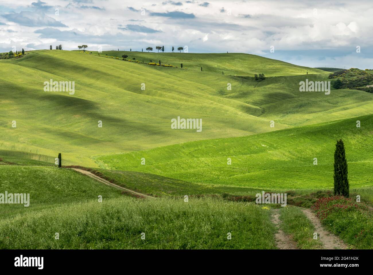 Tuscan valley view hi-res stock photography and images - Alamy