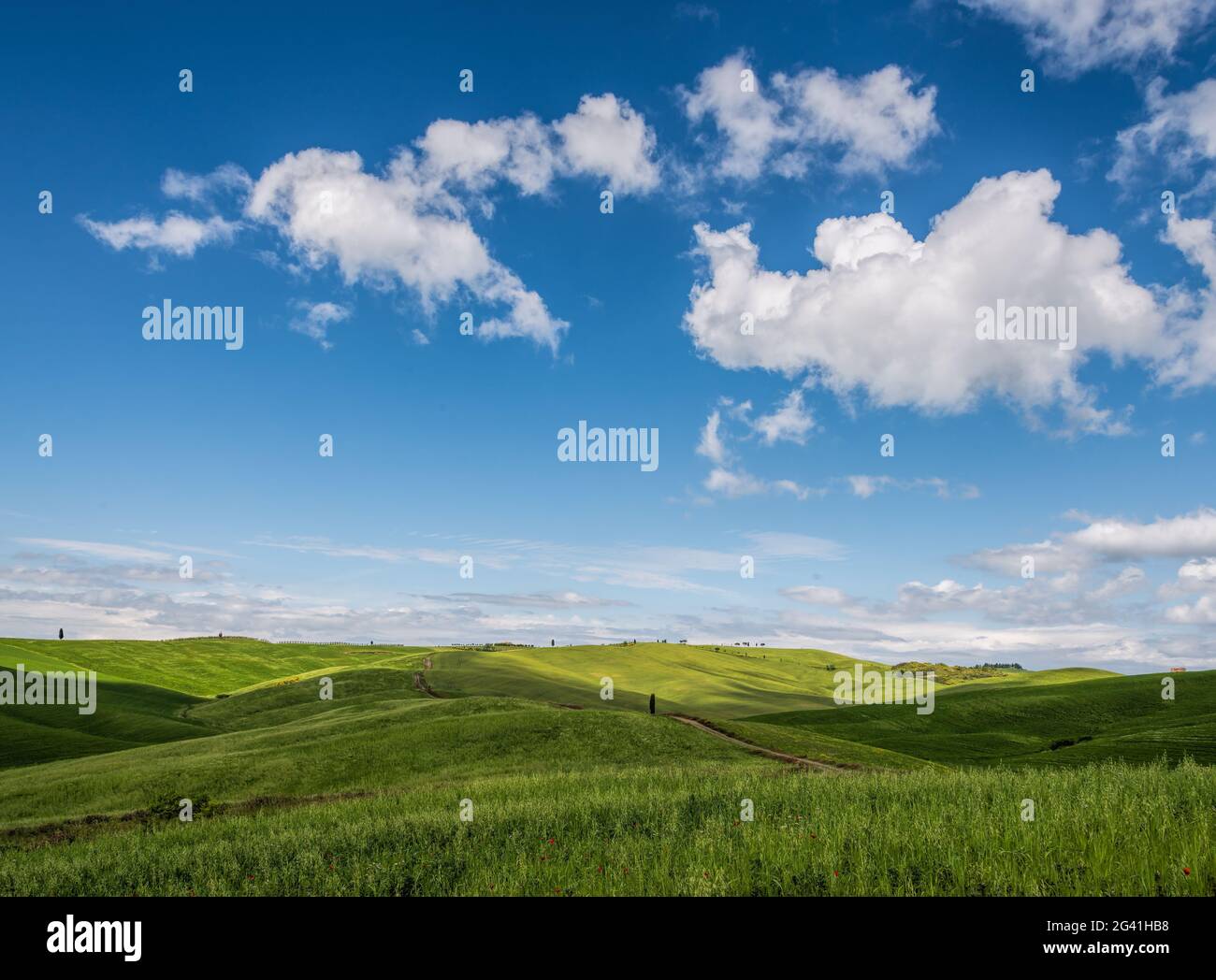 Italian countryside scenery view hi-res stock photography and images ...
