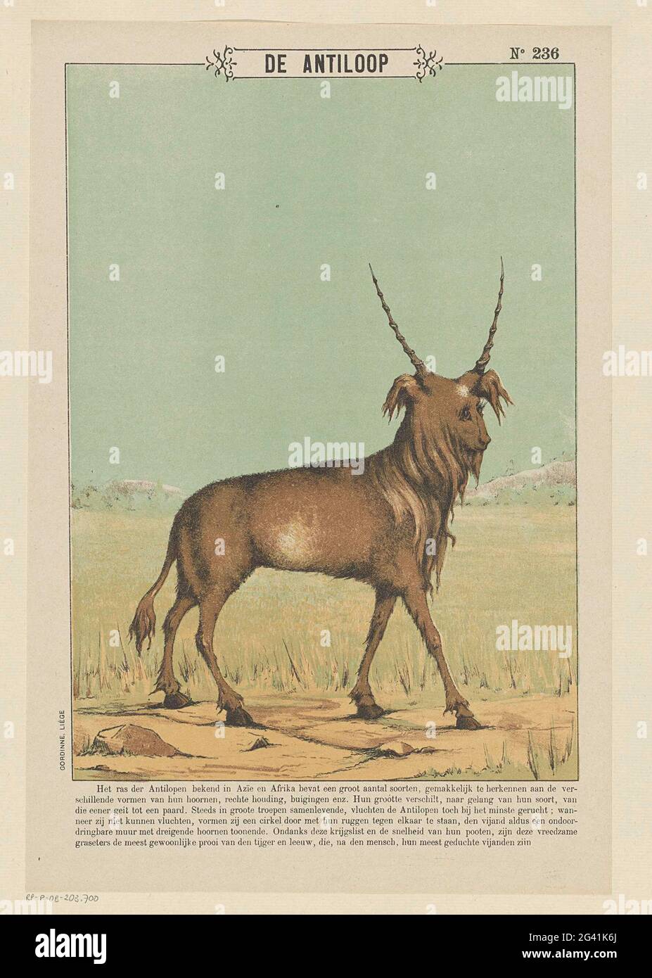 The antelope. Leaf with a large representation of an antelope. A ...