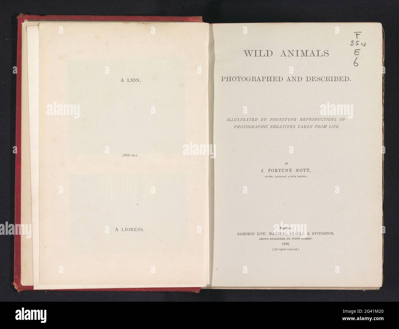 Wild animals photographed and described illustrated by phototype ...