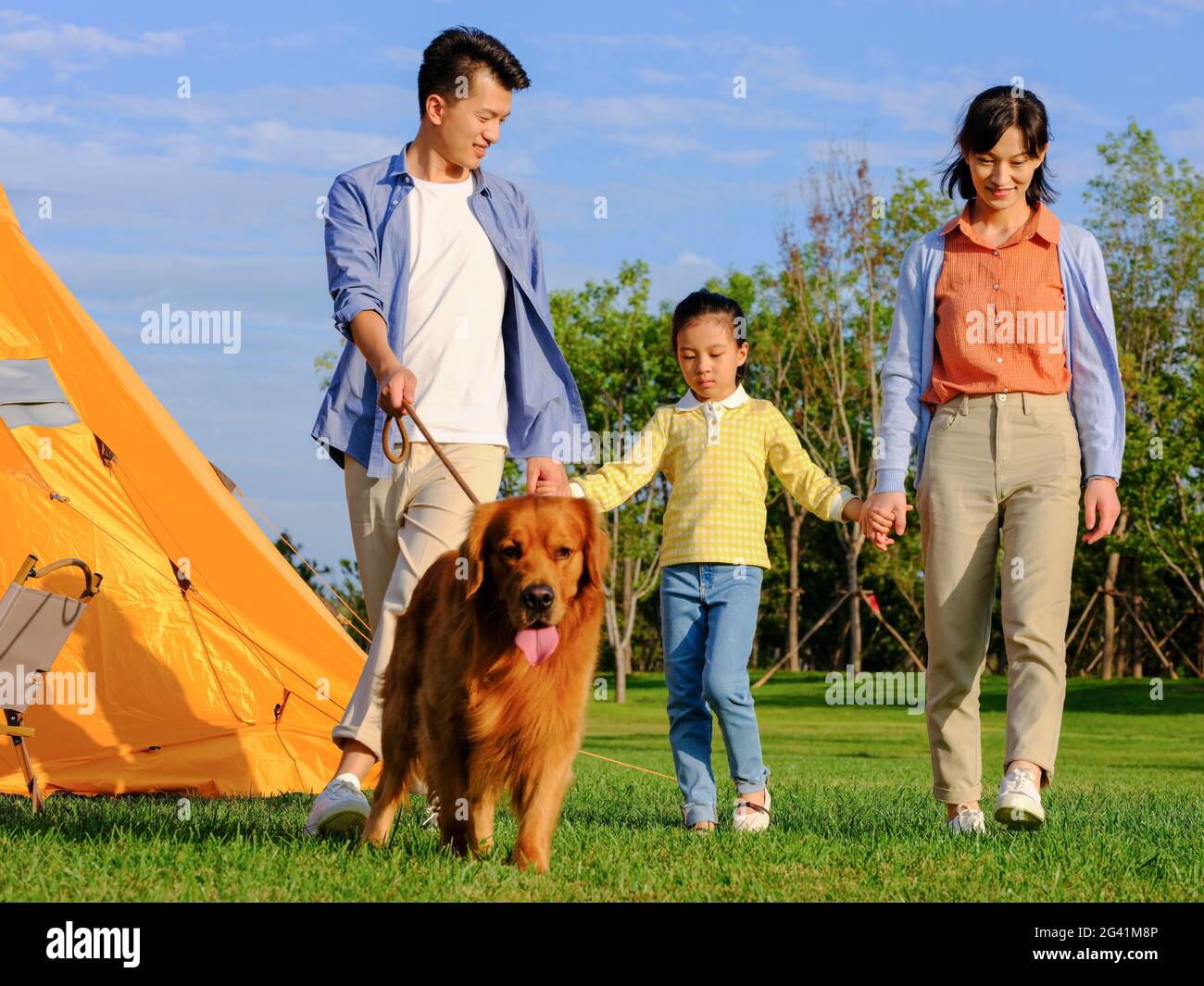 A happy family of three walking dogs in the park high quality photo ...