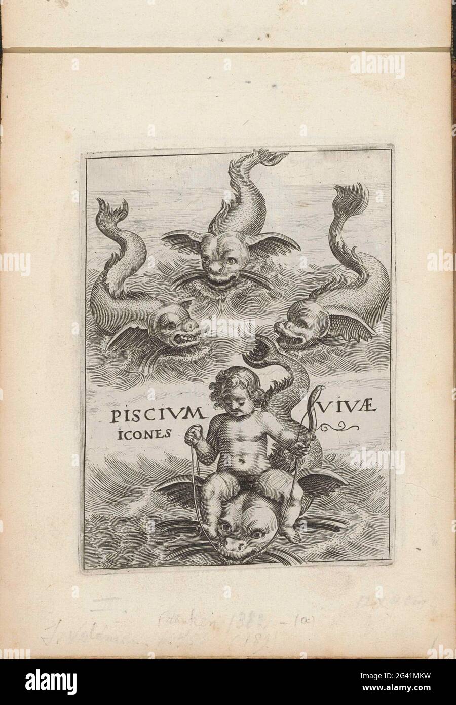 Amor on a sea monster; Fishing; PISCIUM VIVAE ICONES. Amor driving on a ...