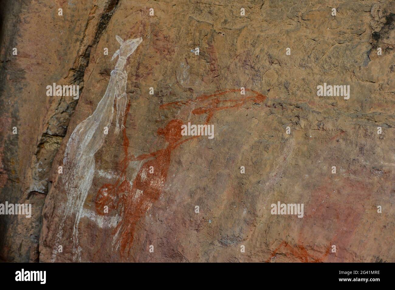 Ancient Aboriginal rock carving, Kakadu National Park, Jabiru, Northern ...