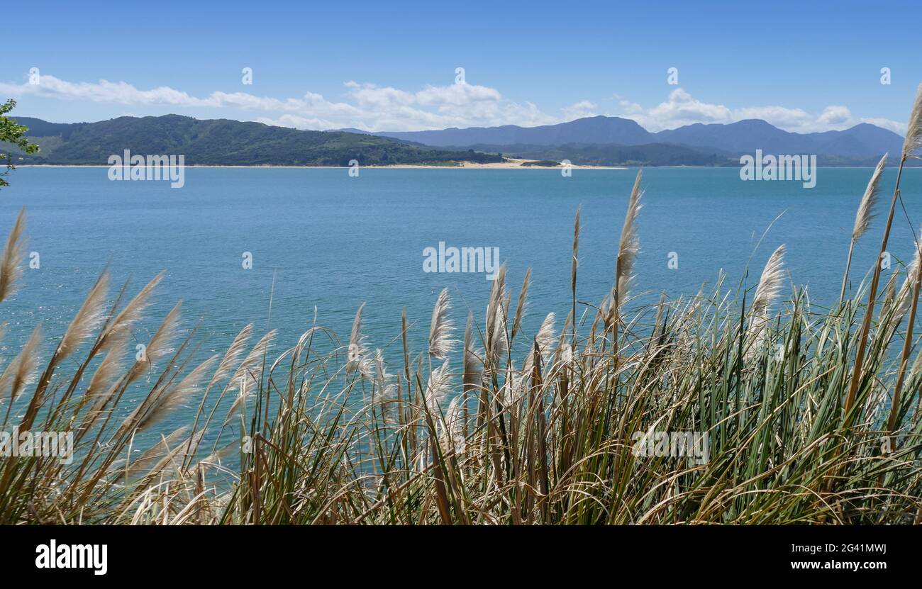 Coastal scenery around Opononi in New Zealand Stock Photo - Alamy