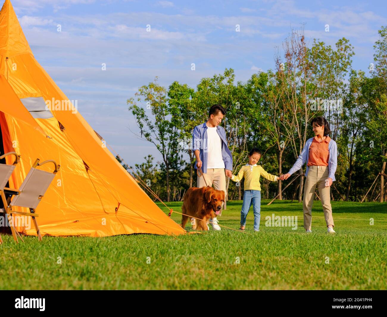 A happy family of three walking dogs in the park high quality photo ...
