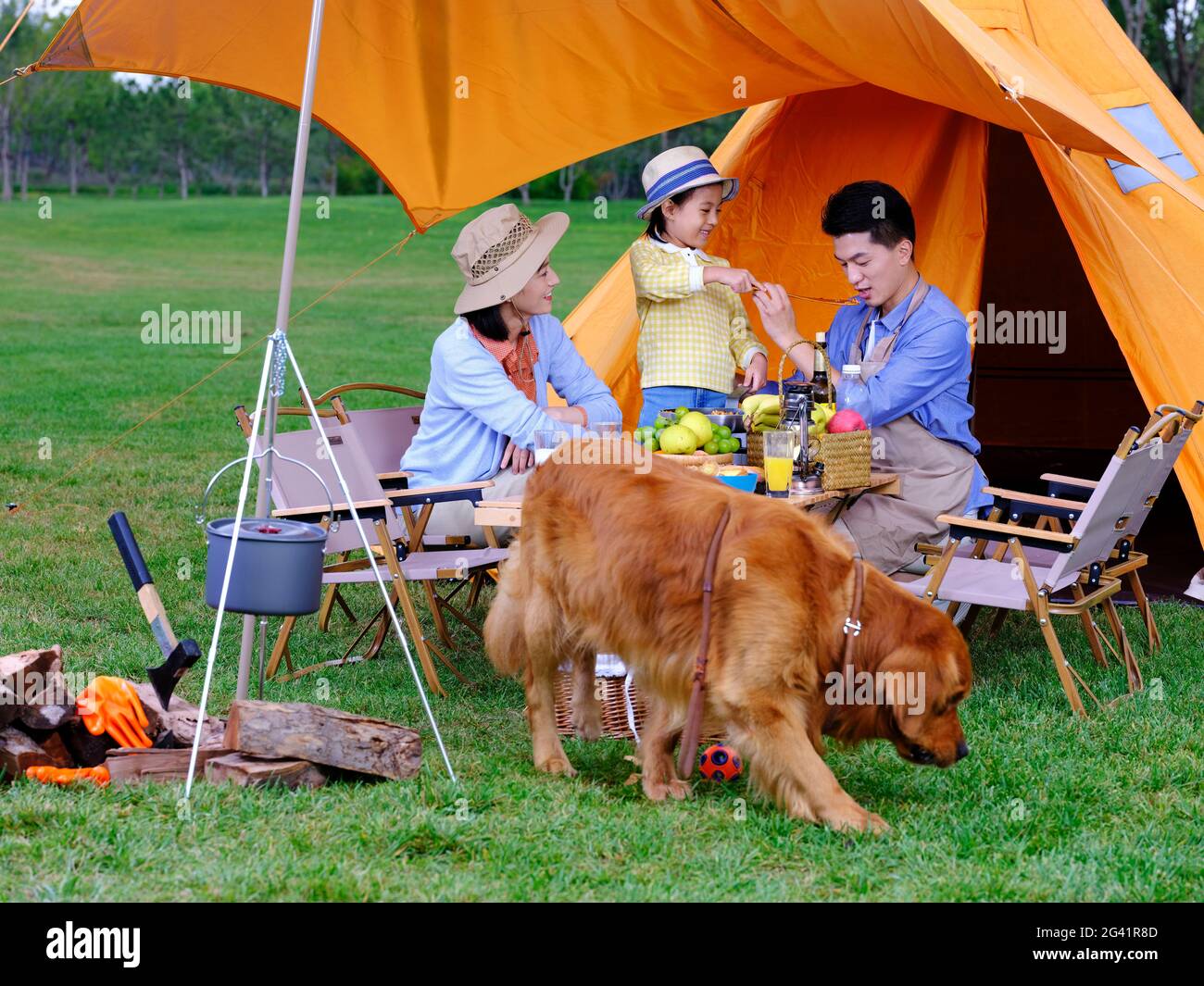 Happy family of three and pet dog cooking outdoors high quality photo ...