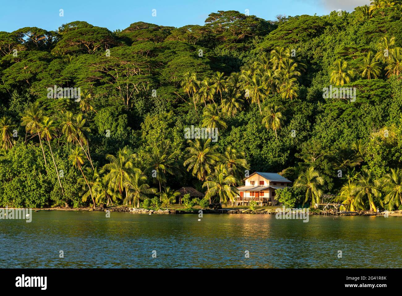 Coconut trees and house along Bora Bora Lagoon, Bora Bora, Leeward ...