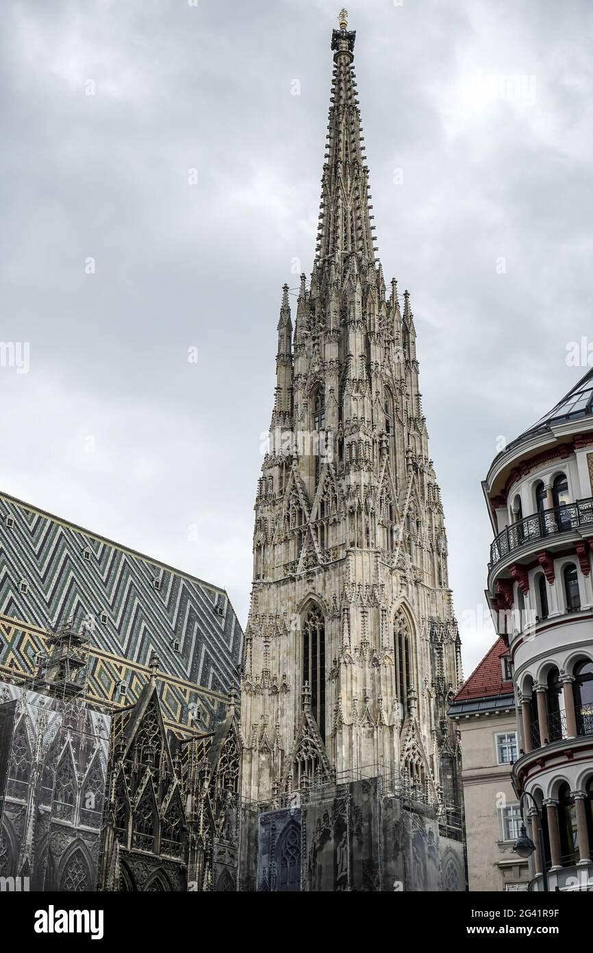 St stephan's cathedral vienna hi-res stock photography and images - Alamy