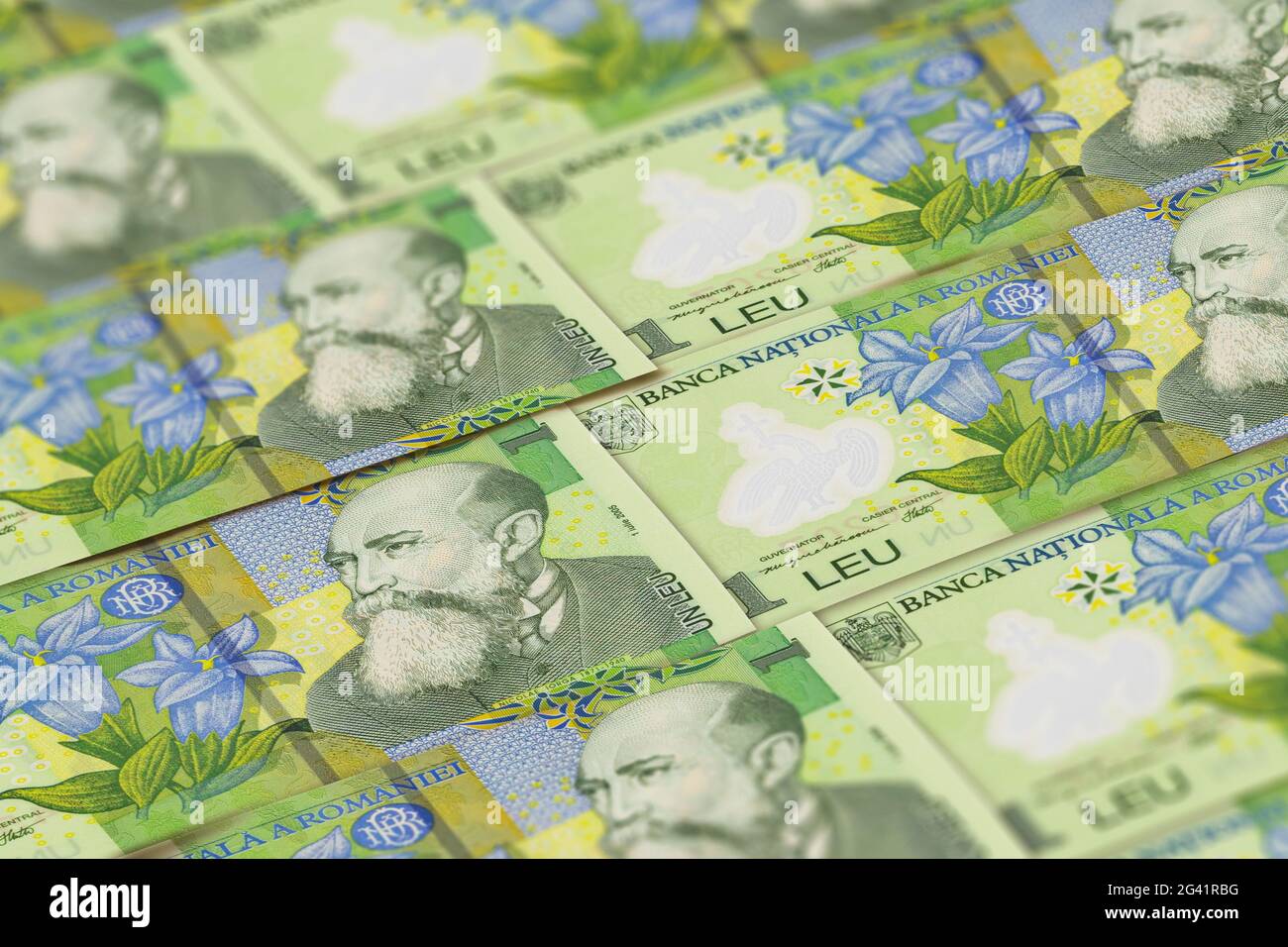 Money of Romania. Romanian leu bills. RON banknotes. 1 lei. Business ...