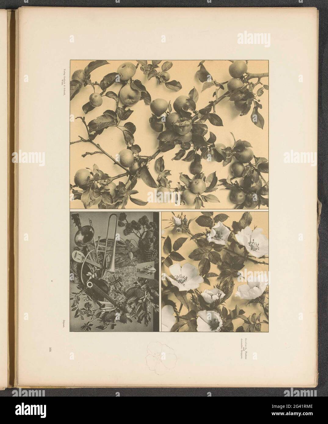 Faces with hedge roses, apple tree branches and a festoon with musical ...