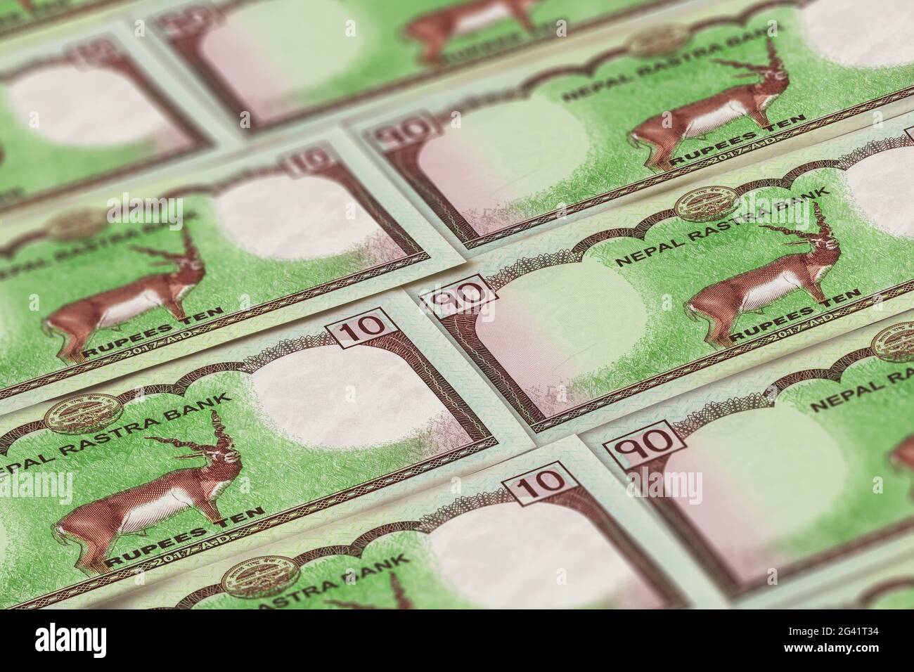 Money of Nepal. Nepalese rupee bills. NPR banknotes. 10 Rs. Business ...