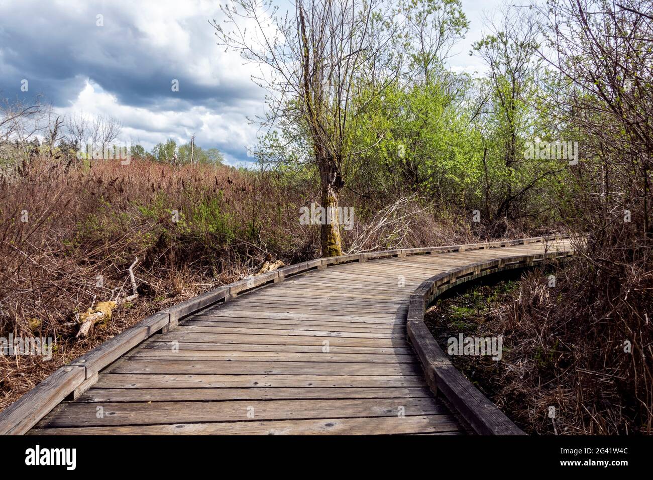 View of a curved boardwalk in a marshland on a cloudy, overcast day in ...