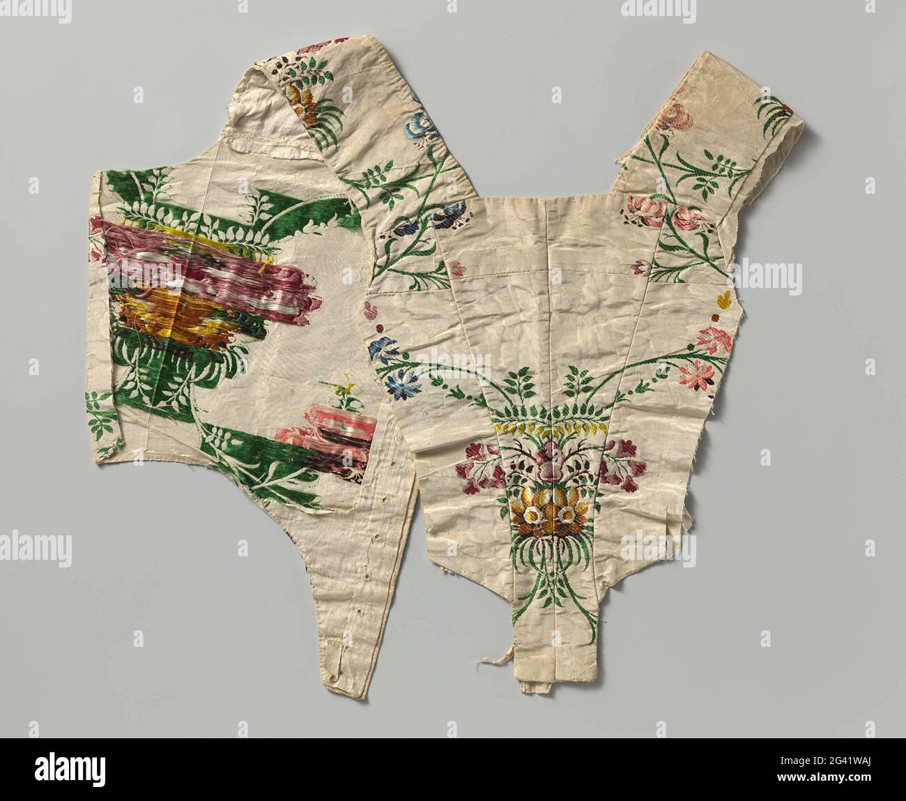 Fine green tendrils hi-res stock photography and images - Alamy