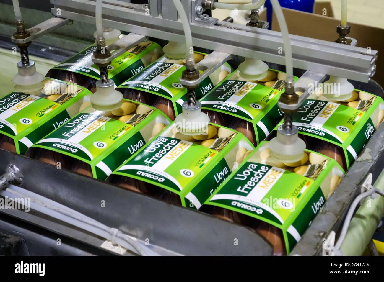 Egg Processing Line High Resolution Stock Photography and Images - Alamy