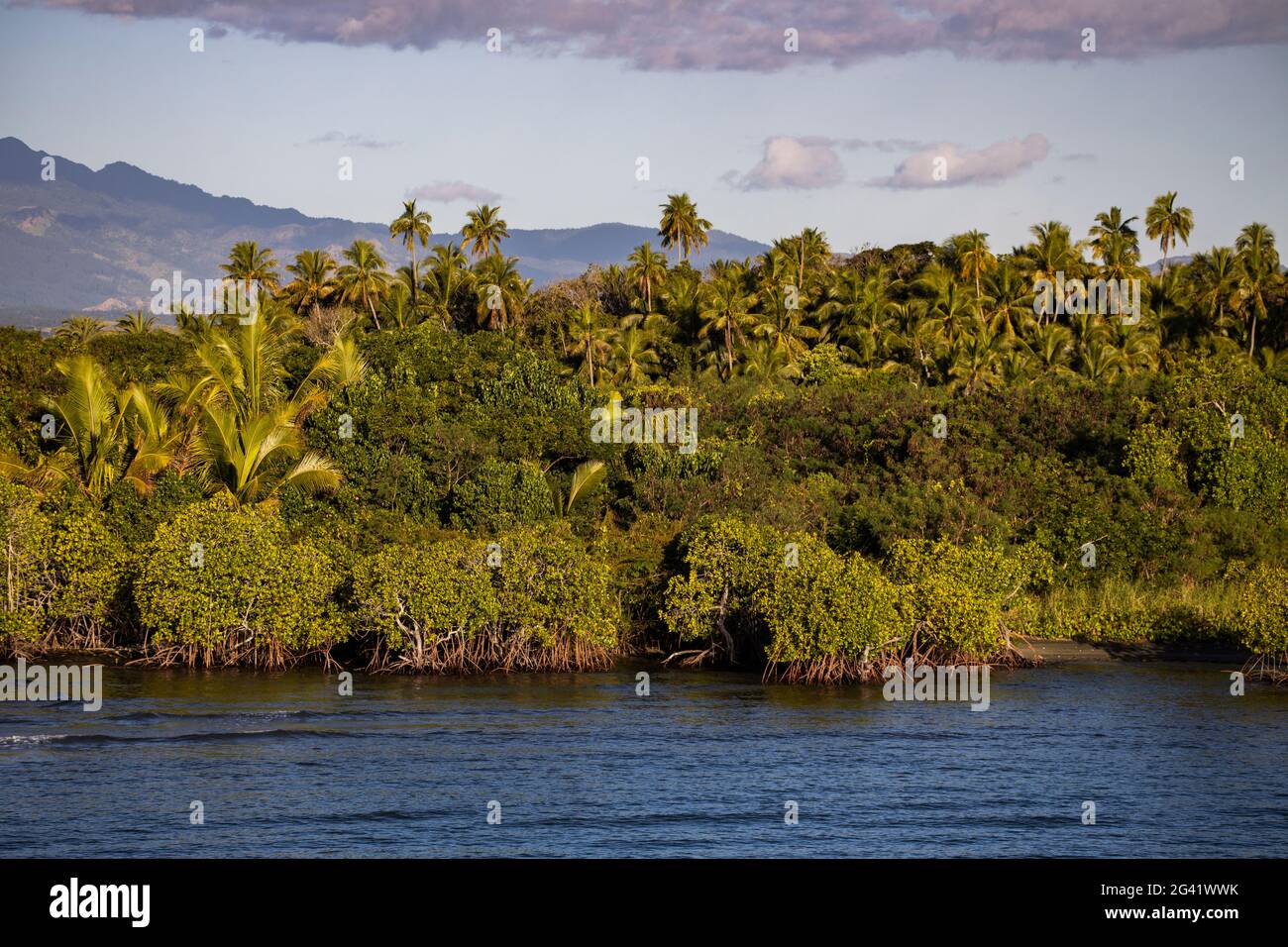 Mangroves, palm trees and lush vegetation with mountains behind, Port ...