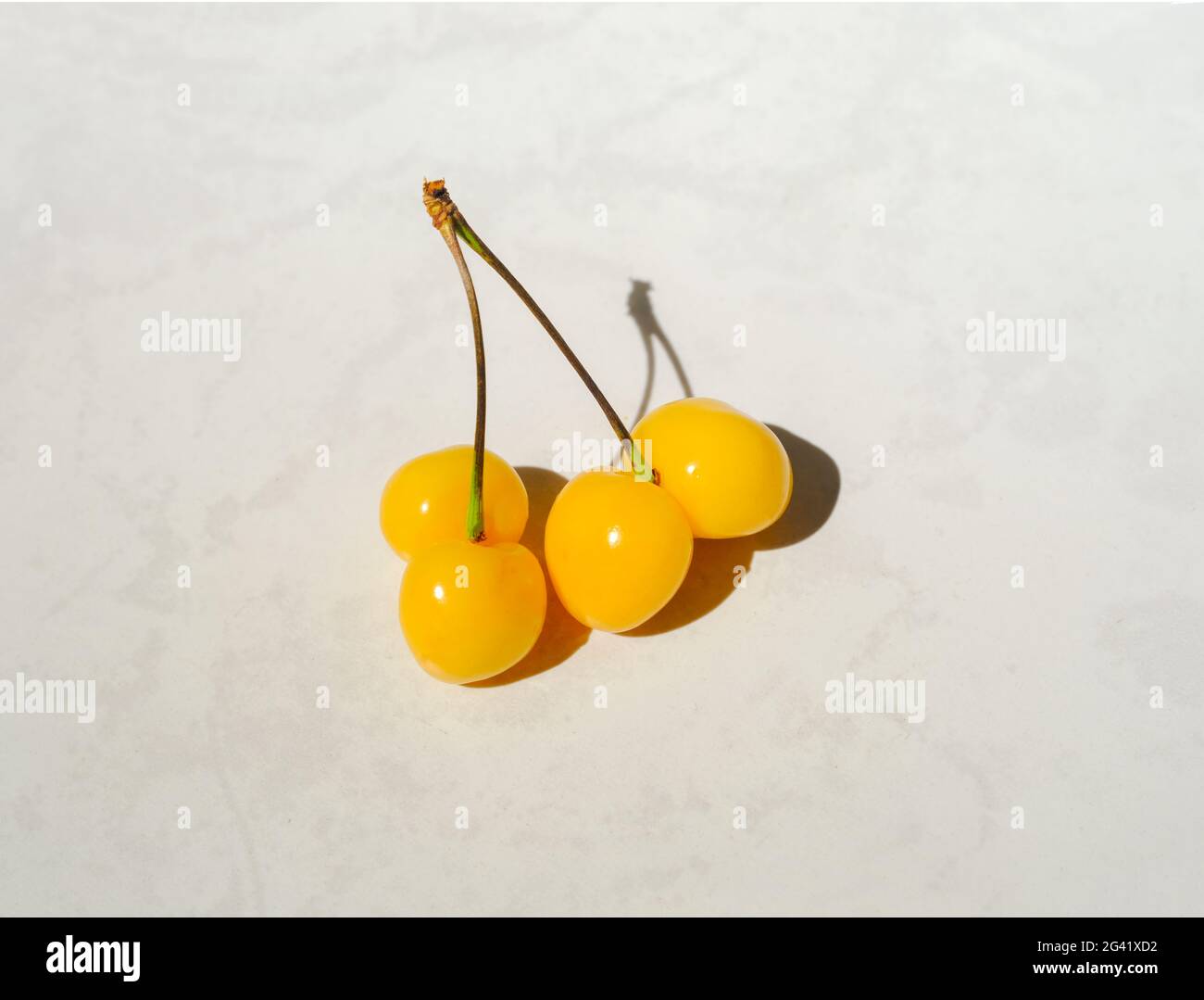yellow cherry with shadow on white background Stock Photo - Alamy