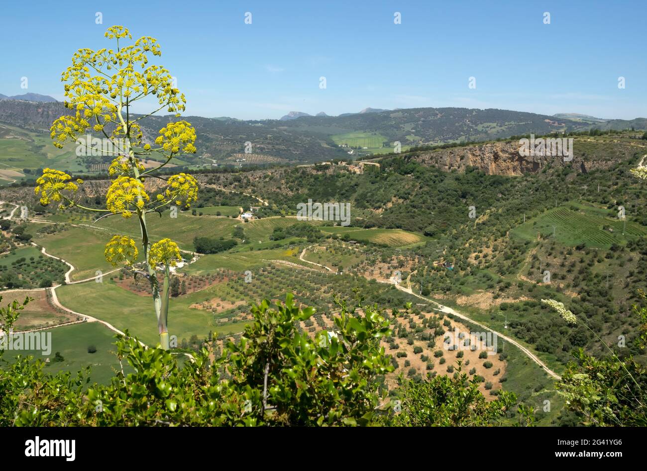Countryside view spain spanish hi-res stock photography and images - Alamy