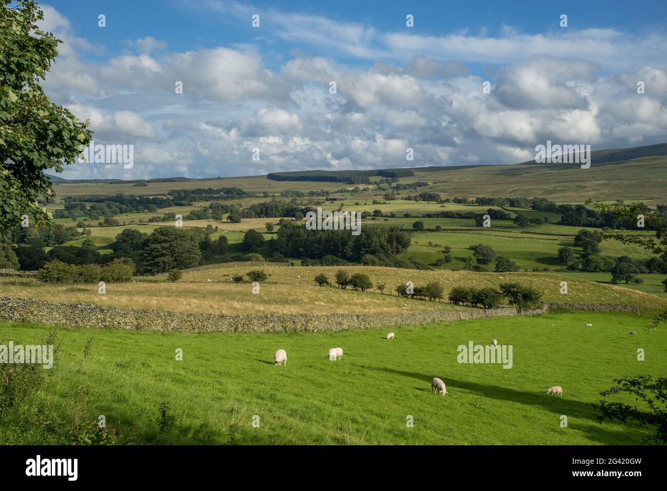 Countryside lake district hi-res stock photography and images - Alamy