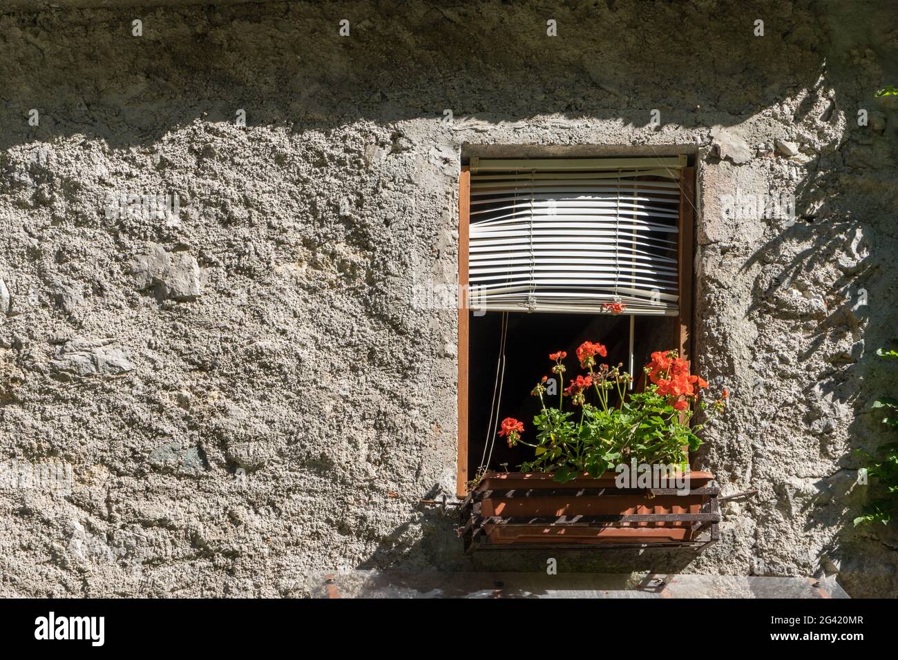 Geraniums in italy hi-res stock photography and images - Alamy
