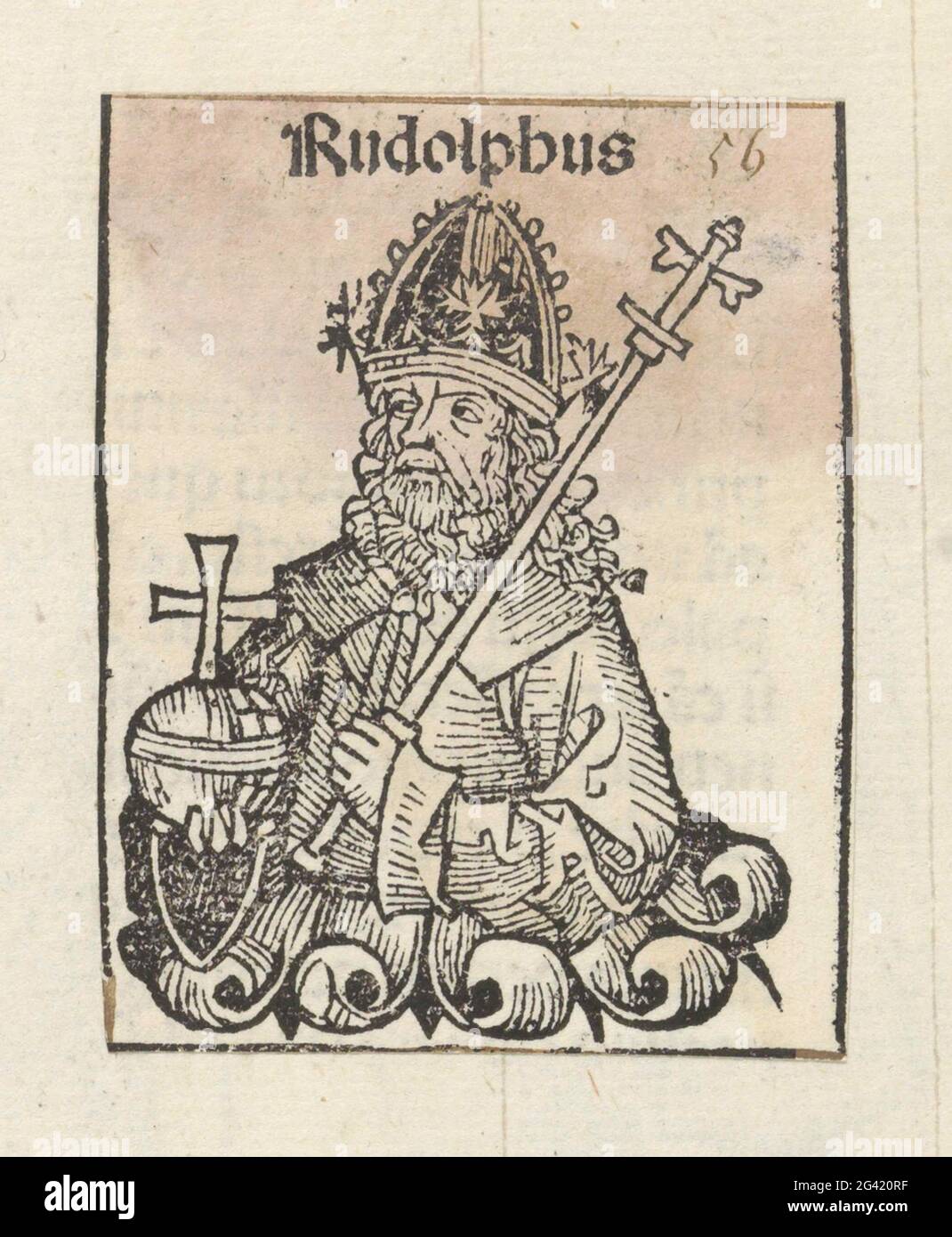 Roman king Rudolf I; Rudolphus; Liber chronicarum. A flower celk with a ...